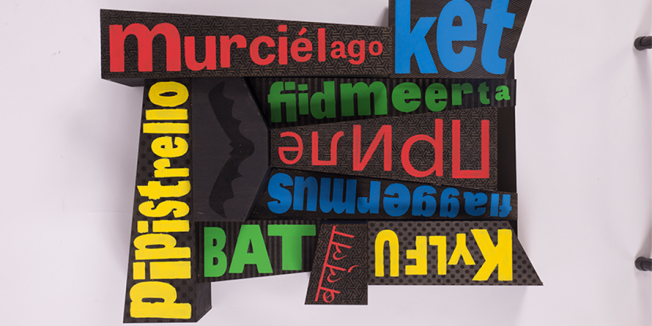 Why This Agency Designer Took a 9-Month Assignment to Rebrand Bats