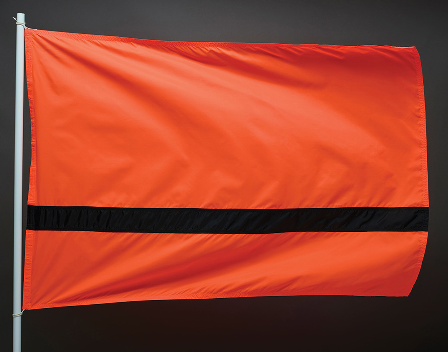 Ogilvy's Flag for Refugee Nation and Its Olympic Team Wins Best of Show ...