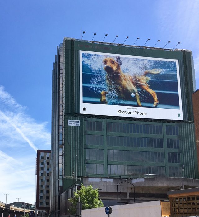 Apple Celebrates Summer With Joyful Worldwide 'Shot on iPhone' Out-of ...