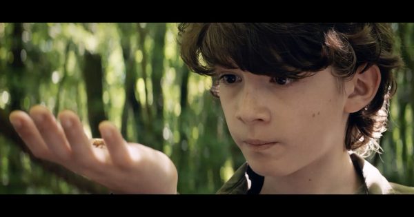This Ad About a Boy and His Pet Bee Is Absurd, So Why Does It Work So Well?