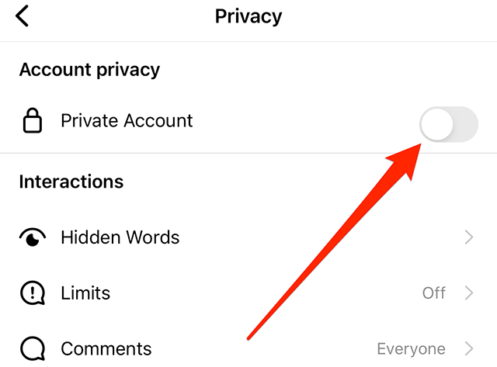 Instagram: How to Make Your Account Private