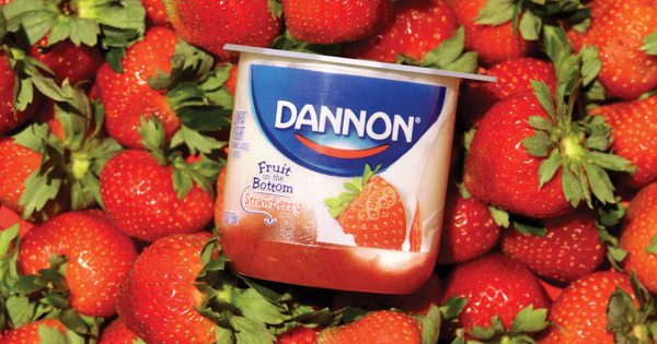 How Dannon Made Yogurt Mainstream in America After Starting as a Staple ...