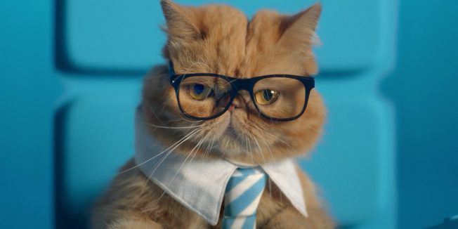 Cat Videos and Business Don't Mix in These Bright Ads for a Dual-Screen ...