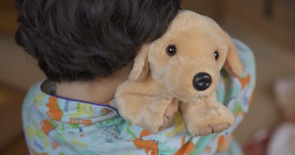 Even a Stuffed Puppy Is Too Much for a Kid in RSPCA's Poignant Christmas Ad
