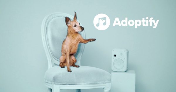 Spotify Gets Into Pet Adoption After Learning Dogs Have Their Own ...