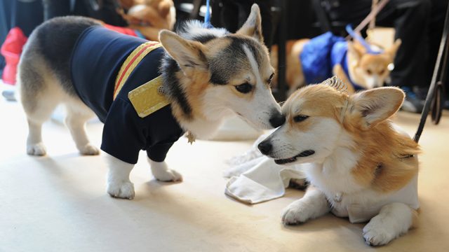 Video: Adweek Mashes Up the Best Ads of 2018