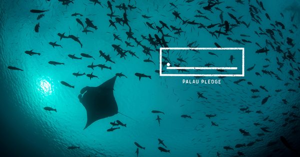 How a Surge of Tourists and Ecological Threats Led to Palau Pledge ...