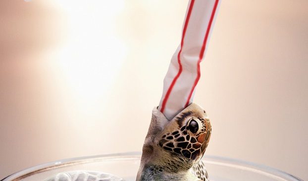 The 25 Best Ads of 2018