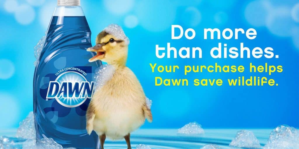 Dawn and International Bird Rescue Celebrate 40-Year Partnership With ...
