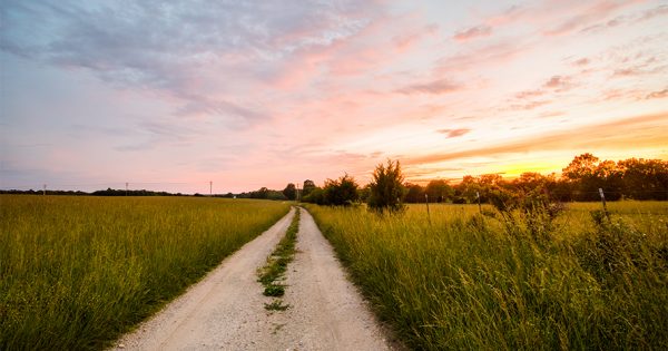The Key to Changing Rural Hearts and Minds? Being Respectful, Even When ...