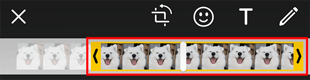 WhatsApp: Here's How to Share a GIF to Your Status