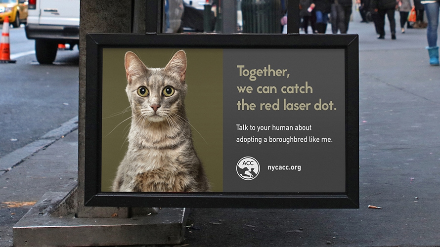 The Year’s 23 Best Media Plans Sparked Conversation With Next-Level ...