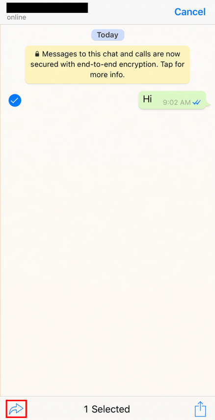 WhatsApp: Here's How to Forward a Message to Another Chat