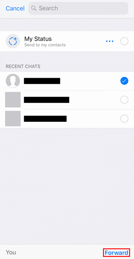 WhatsApp: Here's How to Forward a Message to Another Chat