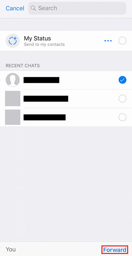 WhatsApp: Here's How to Forward a Message to Another Chat