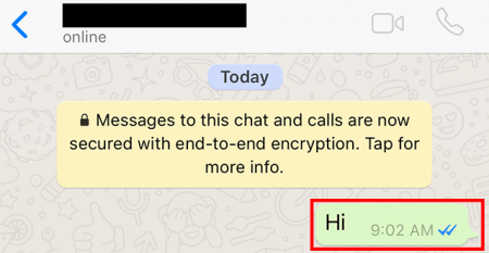 WhatsApp: Here's How to Forward a Message to Another Chat