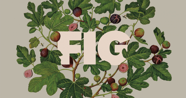 Figliulo & Partners Rebrands as Fig