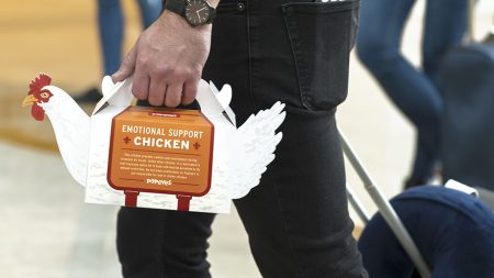 Popeyes Is Offering 'Emotional Support Chicken' to Help Comfort Holiday ...