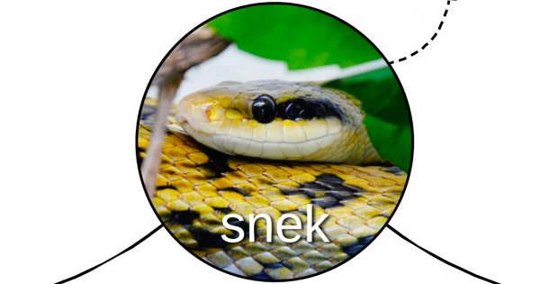 How Lucidchart's Animal Explainers Became One of Today's Most Beloved ...