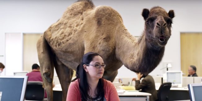 How Geico Became the One Advertiser It's OK to Love