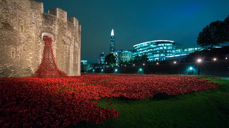 A Century Ago, Two Women Fought to Make the Poppy the National Symbol ...