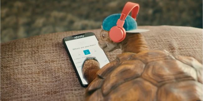 Comcast Brings Back Beloved Turtles That Live Life in the Slow Lane