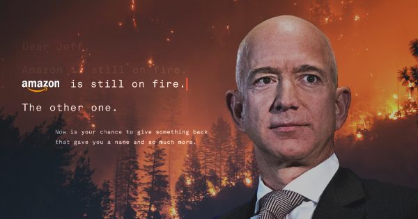 Climate Activists Ask Jeff Bezos to Buy the Amazon Rainforest