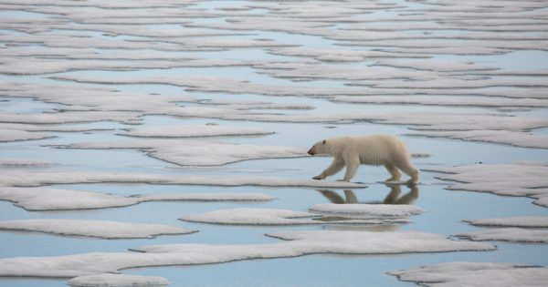 How National Geographic's Shows Tackle Climate Change Without Seeming ...