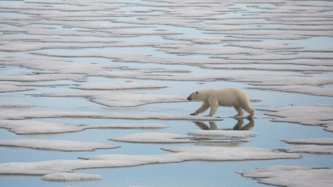 How National Geographic's Shows Tackle Climate Change Without Seeming ...