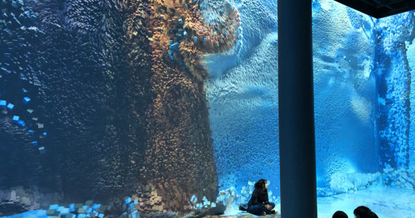 An AI's 'Dreams' Become an Immersive Art Exhibit That Reimagines New York