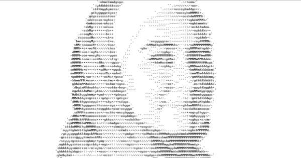 The Portraits of Refugee Coders Are Hidden in Websites