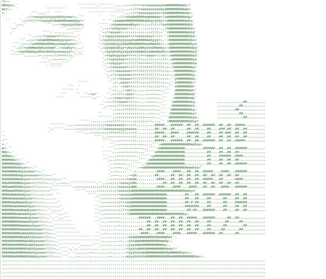 The Portraits of Refugee Coders Are Hidden in Websites