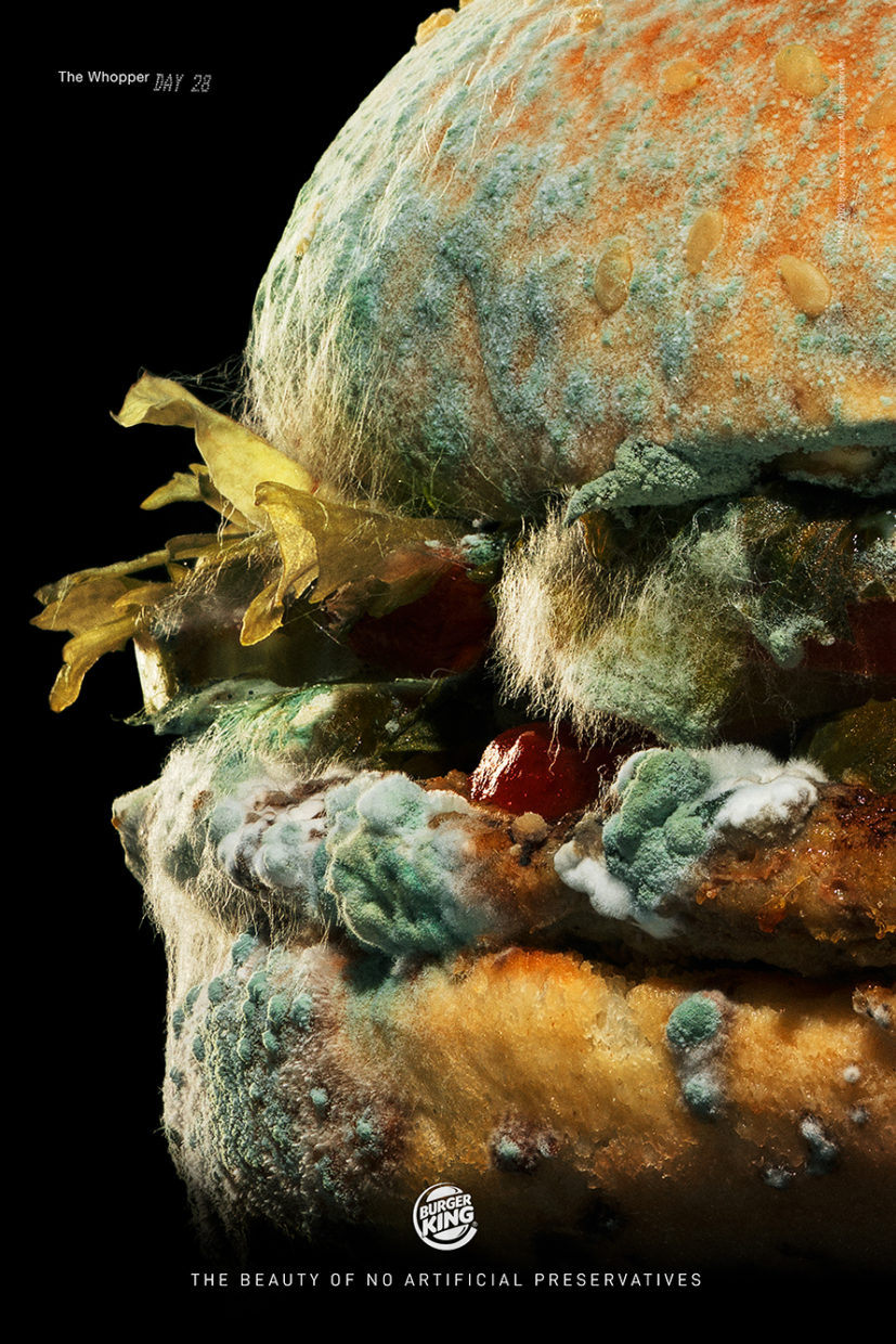 Why Burger King Is Proudly Advertising a Moldy Whopper