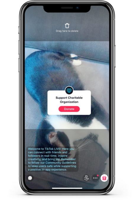 TikTok Rolls Out Donation Stickers to Benefit Organizations Providing ...