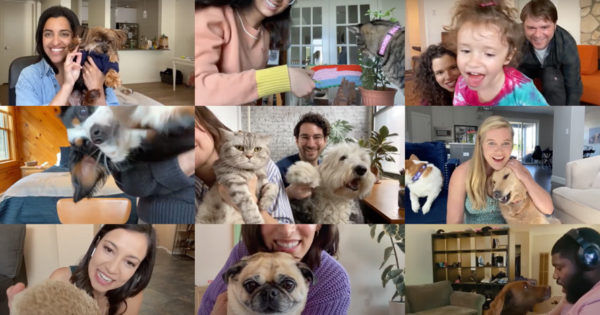 Chewy Reminds Us That Amid All the Bad, Pets Are Very Good