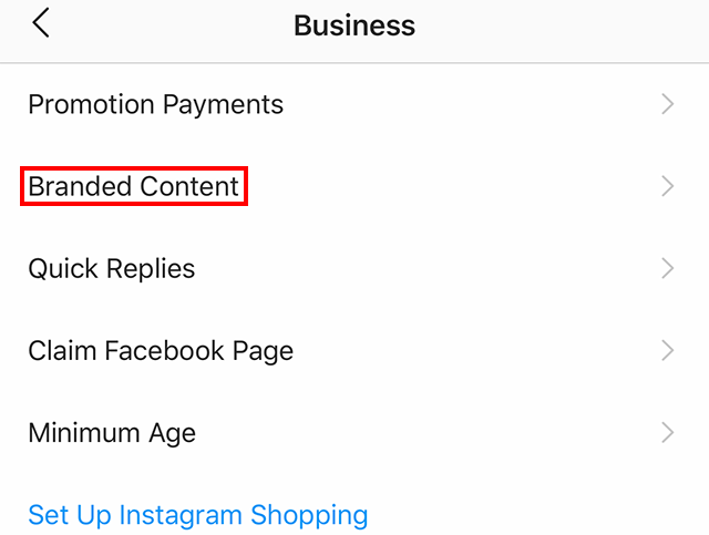 Instagram for Business: How to Add an Approved Business Partner