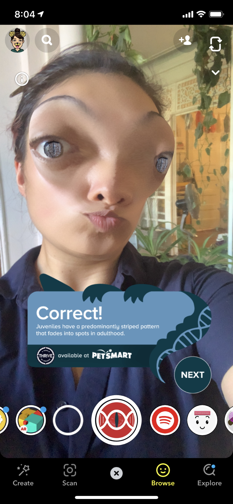 PetSmart’s First Snapchat AR Lens Turns Reptile Enthusiasts Into Lizards