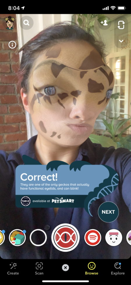 PetSmart’s First Snapchat AR Lens Turns Reptile Enthusiasts Into Lizards