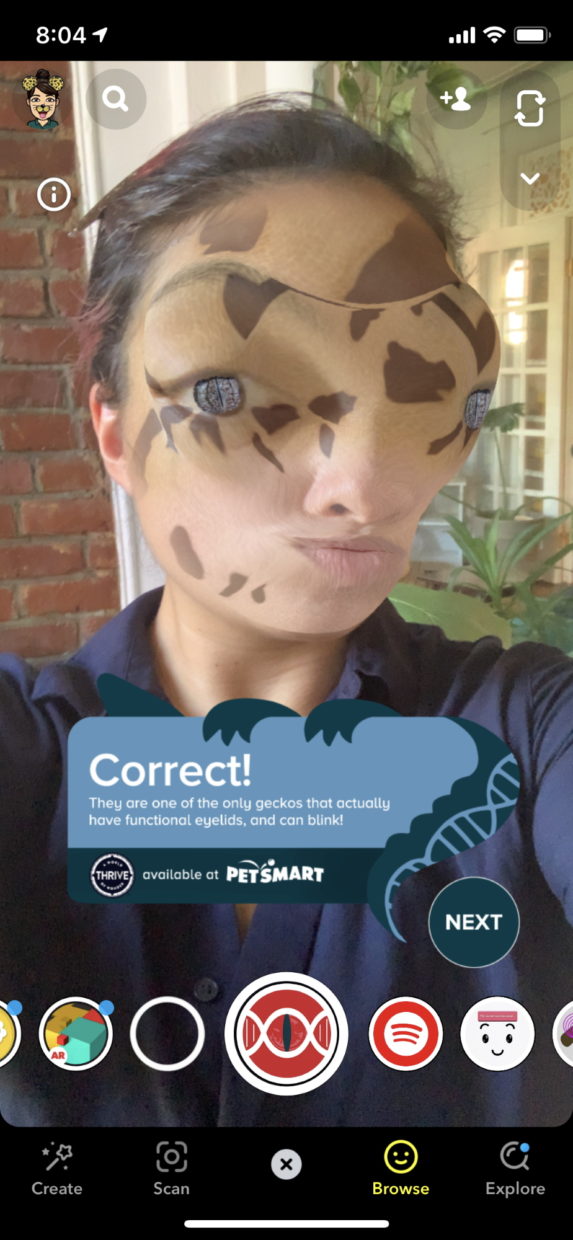 PetSmart’s First Snapchat AR Lens Turns Reptile Enthusiasts Into Lizards