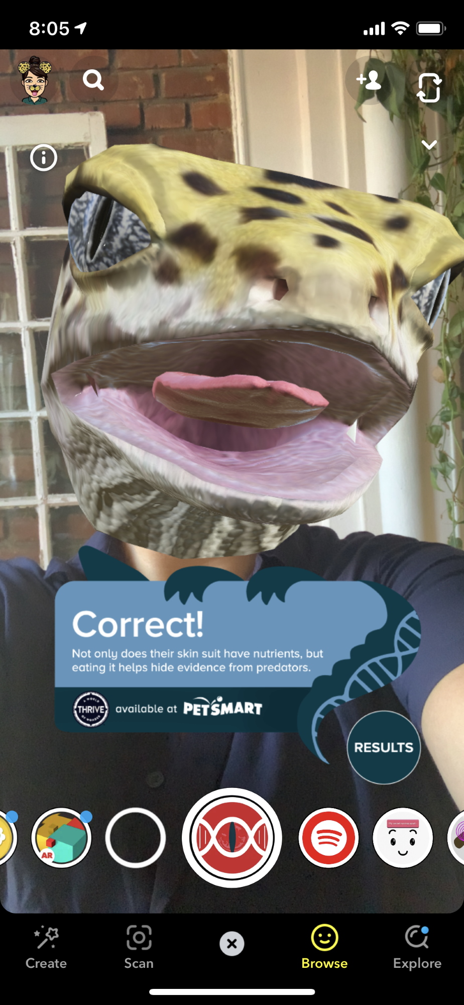 PetSmart’s First Snapchat AR Lens Turns Reptile Enthusiasts Into Lizards