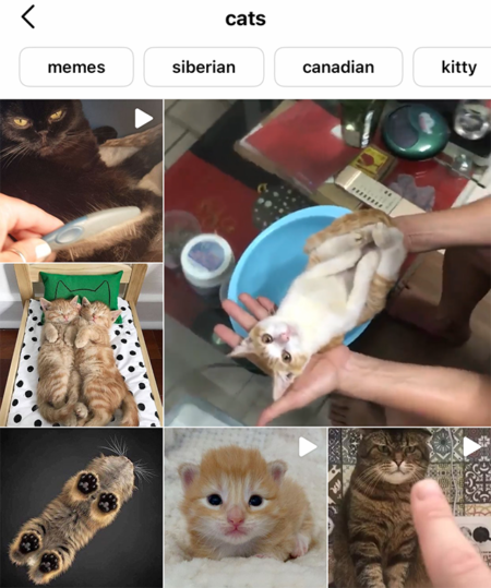 Instagram: How to Search for Posts Using Keywords