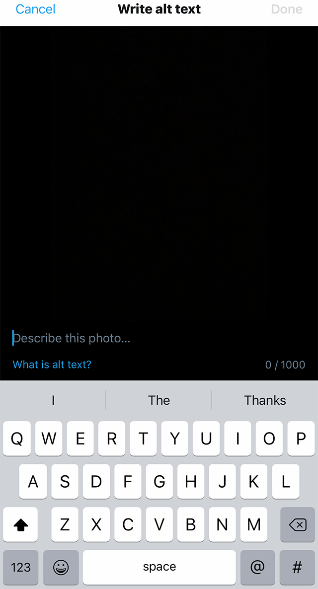 Twitter Fleets: How to Add Alt Text to a Photo