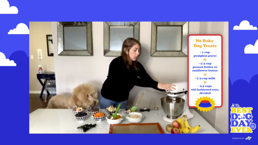 The Dodo Virtually Reimagines Best Dog Day Ever