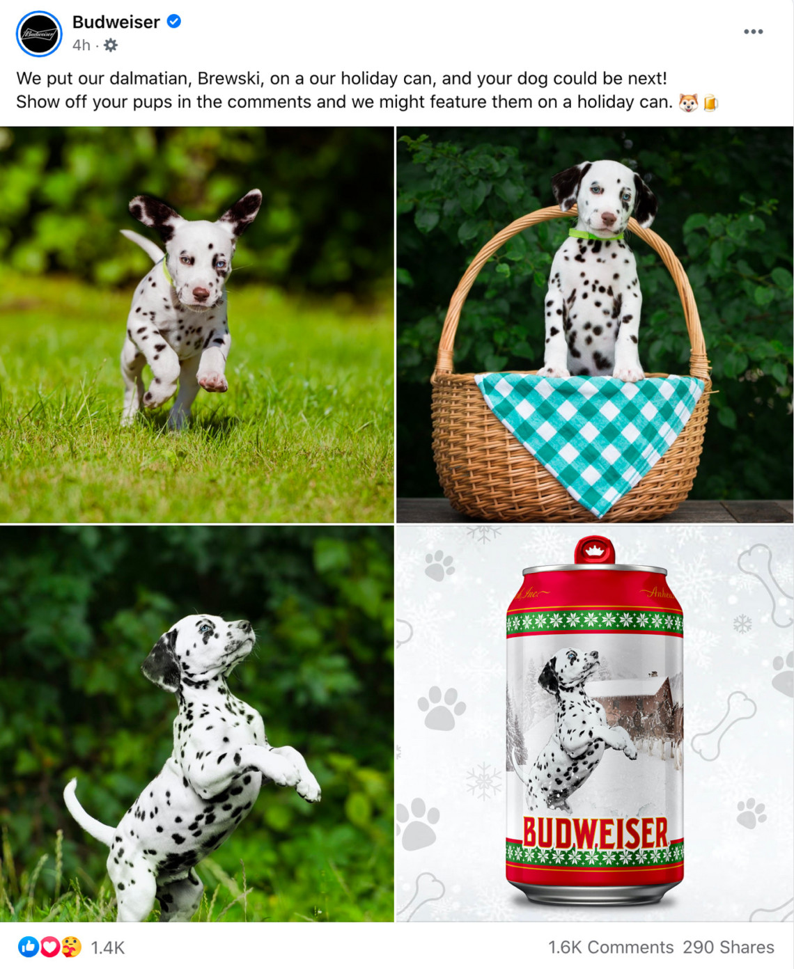 You Can Put Your Pup on a Can of Budweiser