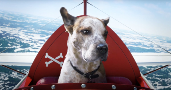 In Microsoft's Adorable Holiday Ad, Gaming Goes to the Dogs
