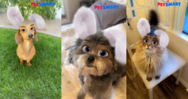 PetSmart Turns to Snapchat Lens to Dress Up Pets for Easter