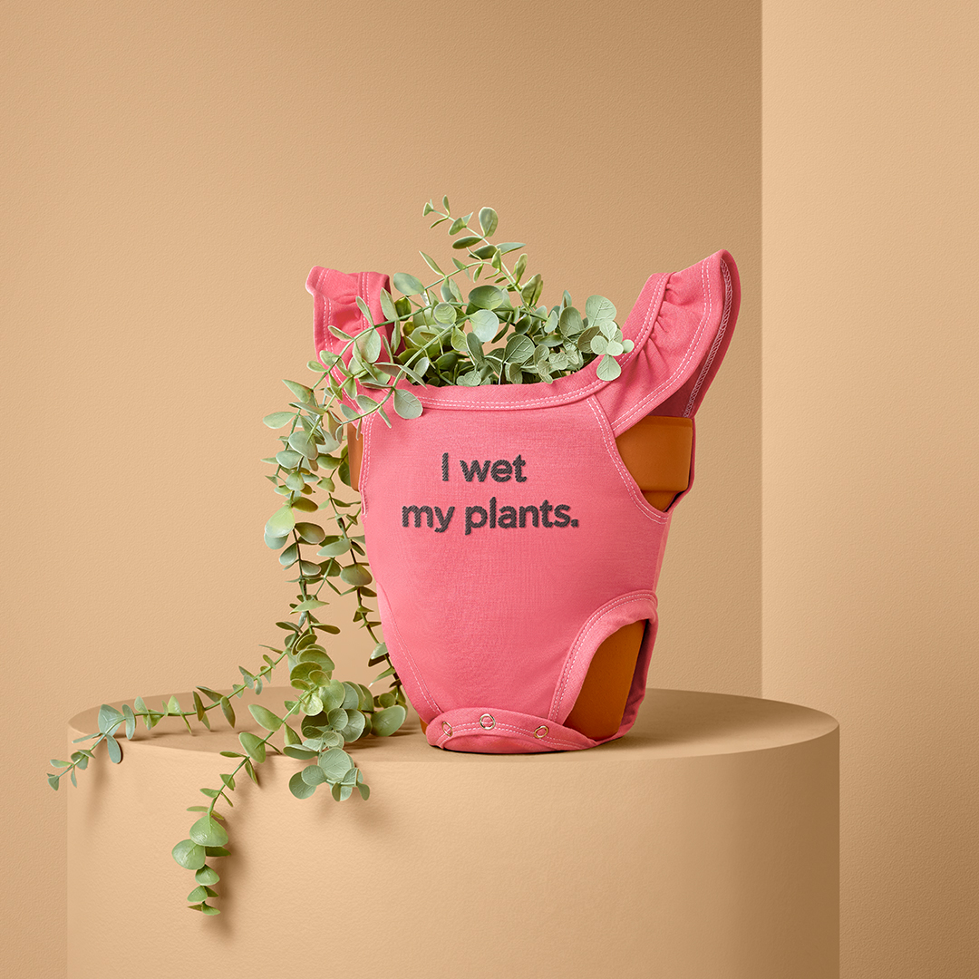 Miracle-Gro Has Created Cute Outfits for Your Houseplants