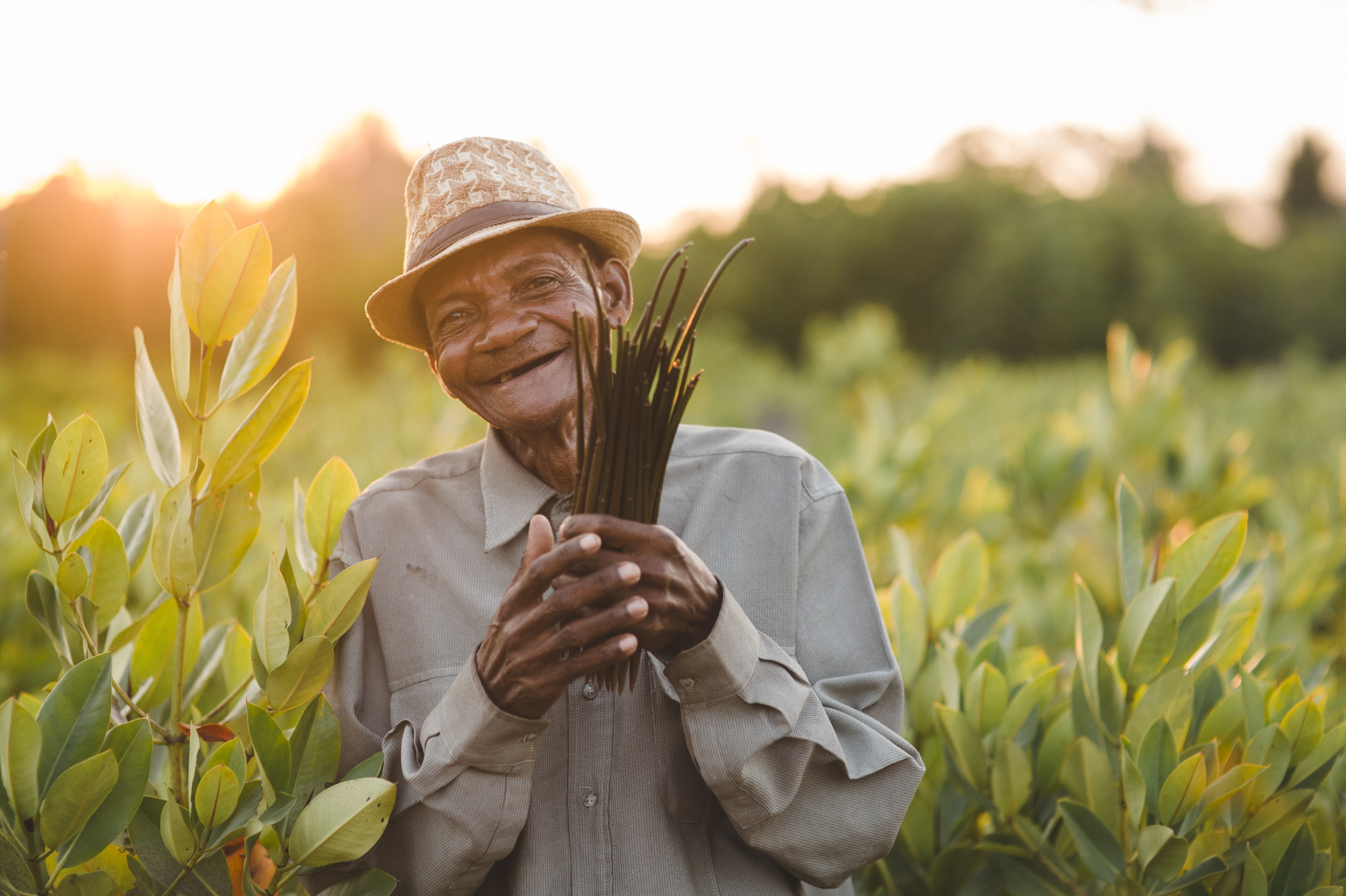 Tentree Kicks Off ‘Planet Partners’ Initiative for Earth Month