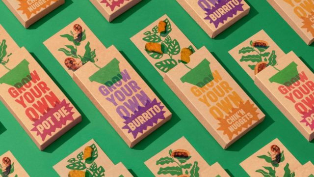 Alpha Foods' Seed Kits Show What's In Plant-Based Products