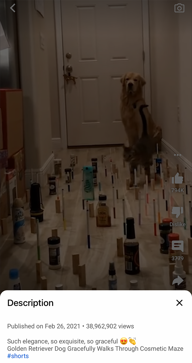 YouTube Shorts: How to View a Video's Description